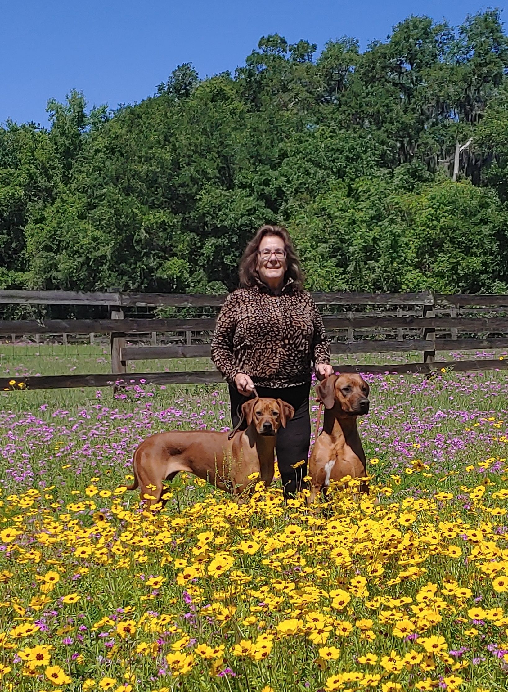 Kengali Rhodesian Ridgebacks - OUR FLORIDA GANG