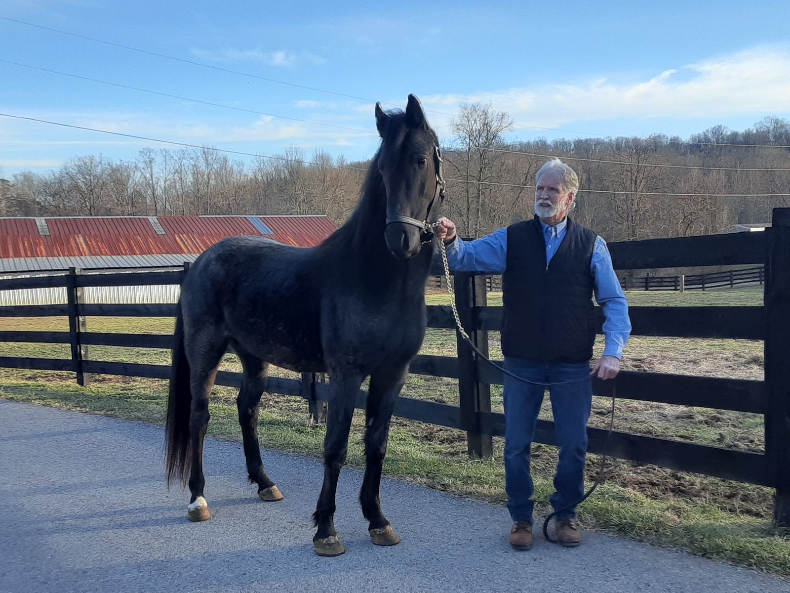 David Dean, Lonesome Dove, TWH breeding