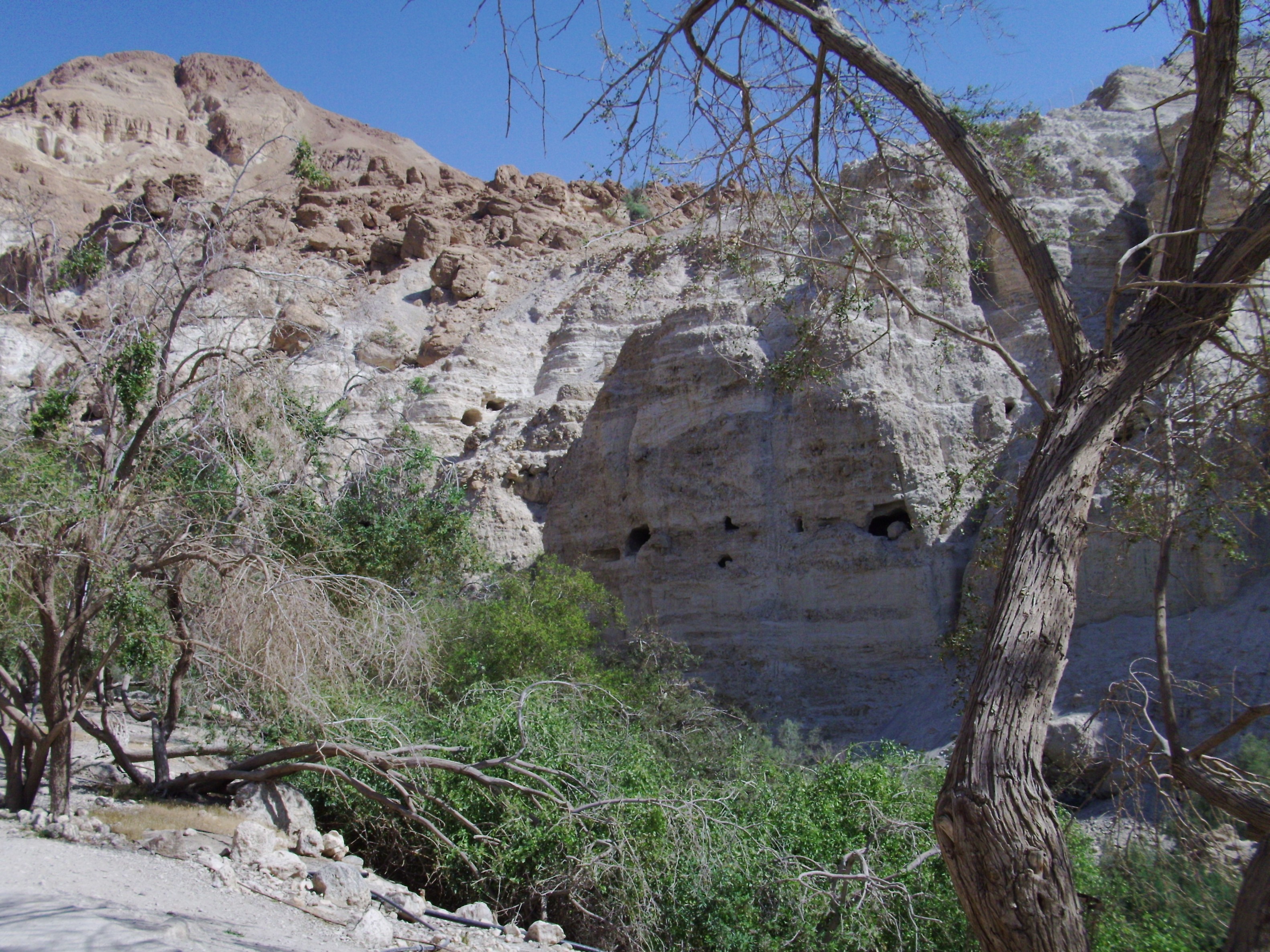 The Wilderness of En Gedi