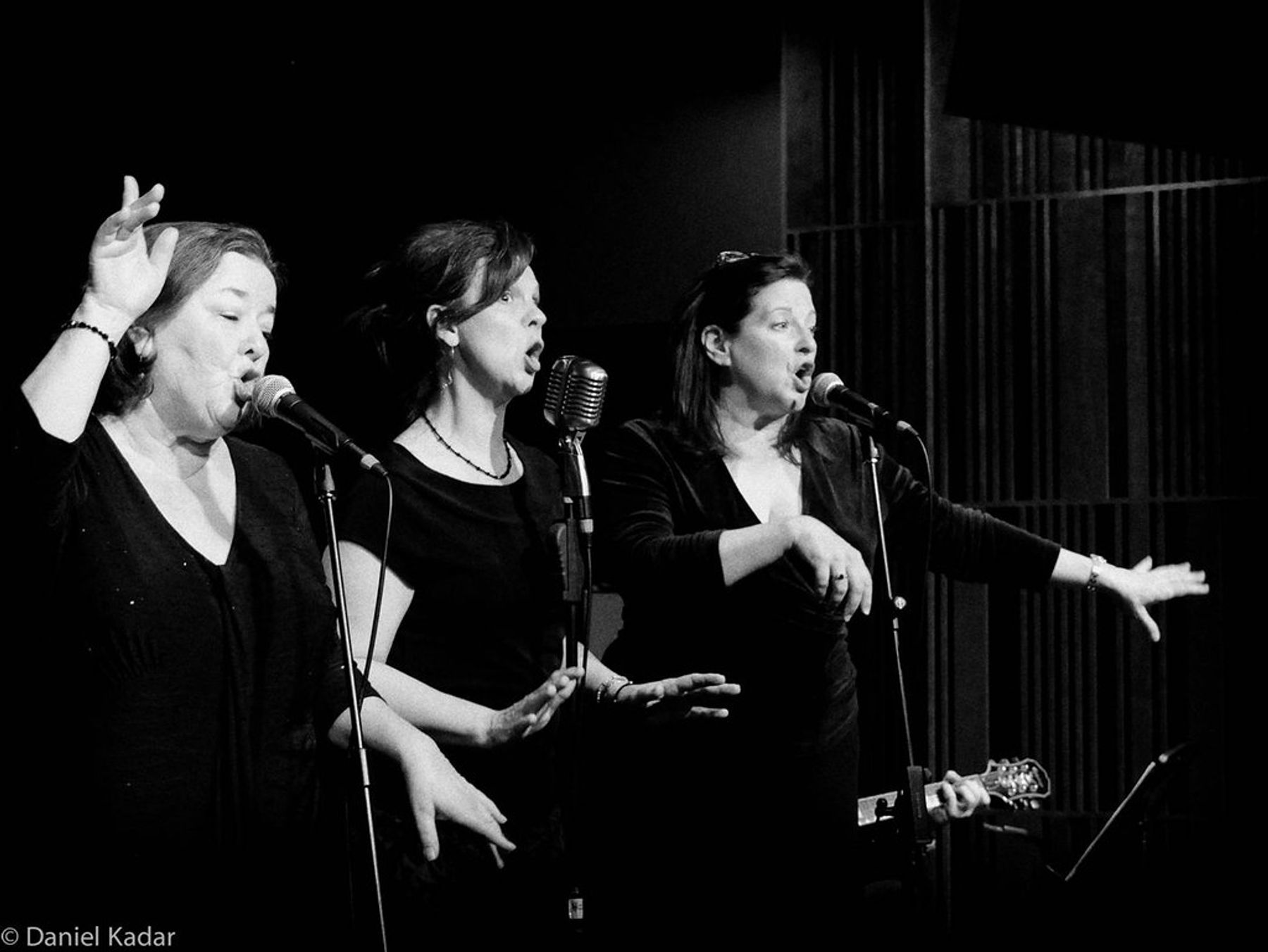 The Pfister Sisters - About Us