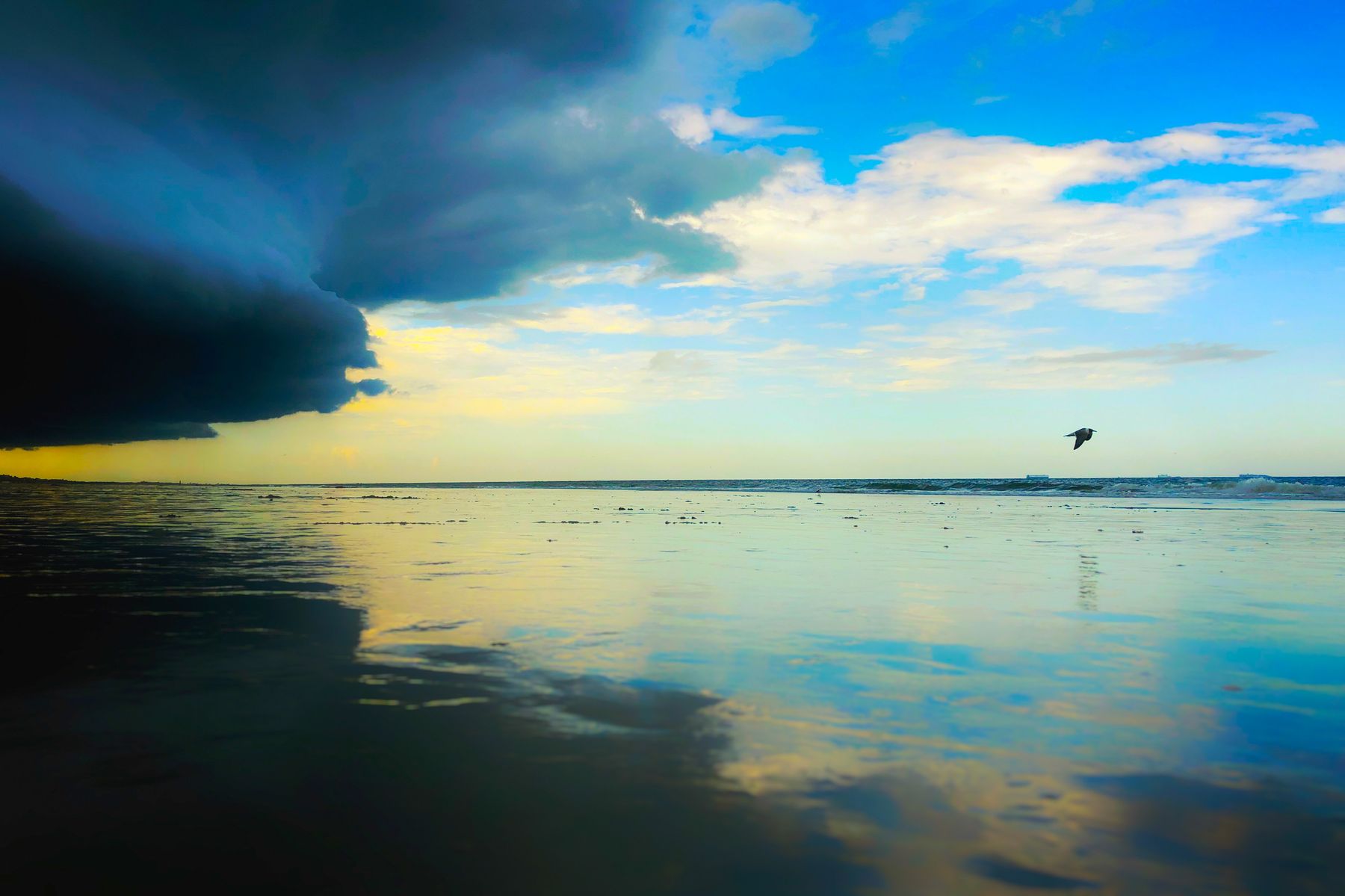 Richard Laurence - Photos