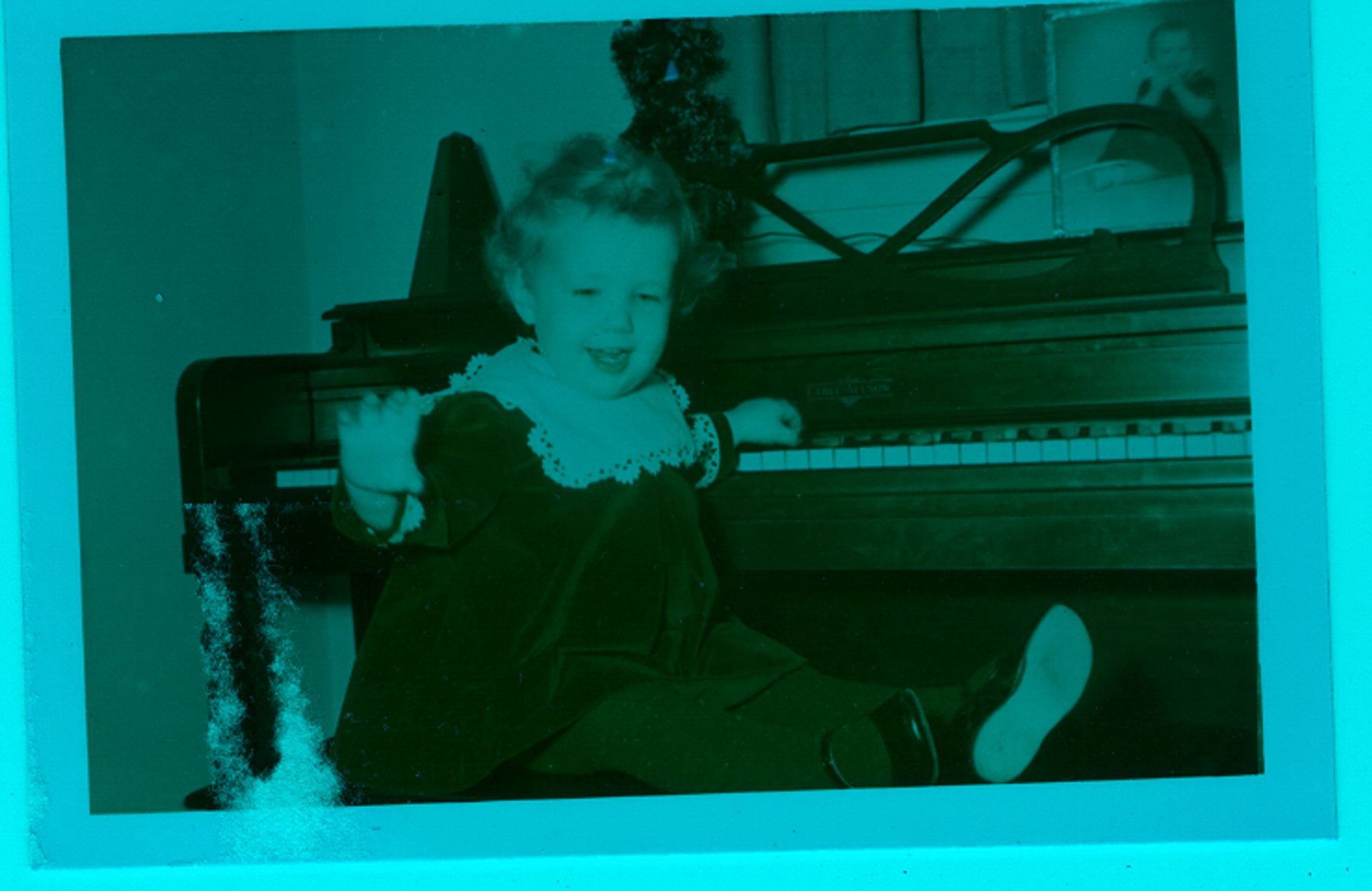 Tracey Phillips - Biography