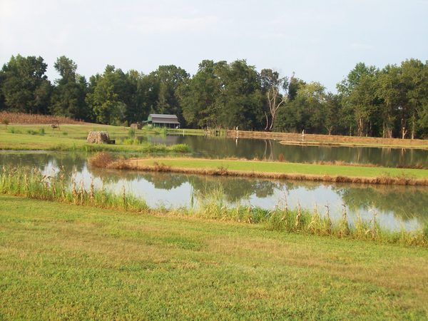 ELLIOTT LABRADORS - OUR FACILITY