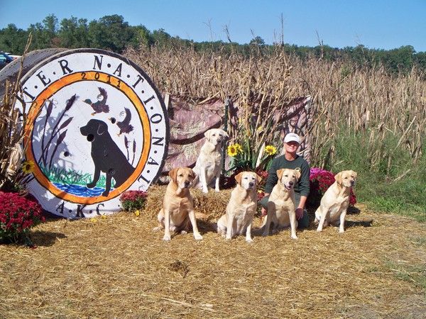 ELLIOTT LABRADORS - OUR DOGS