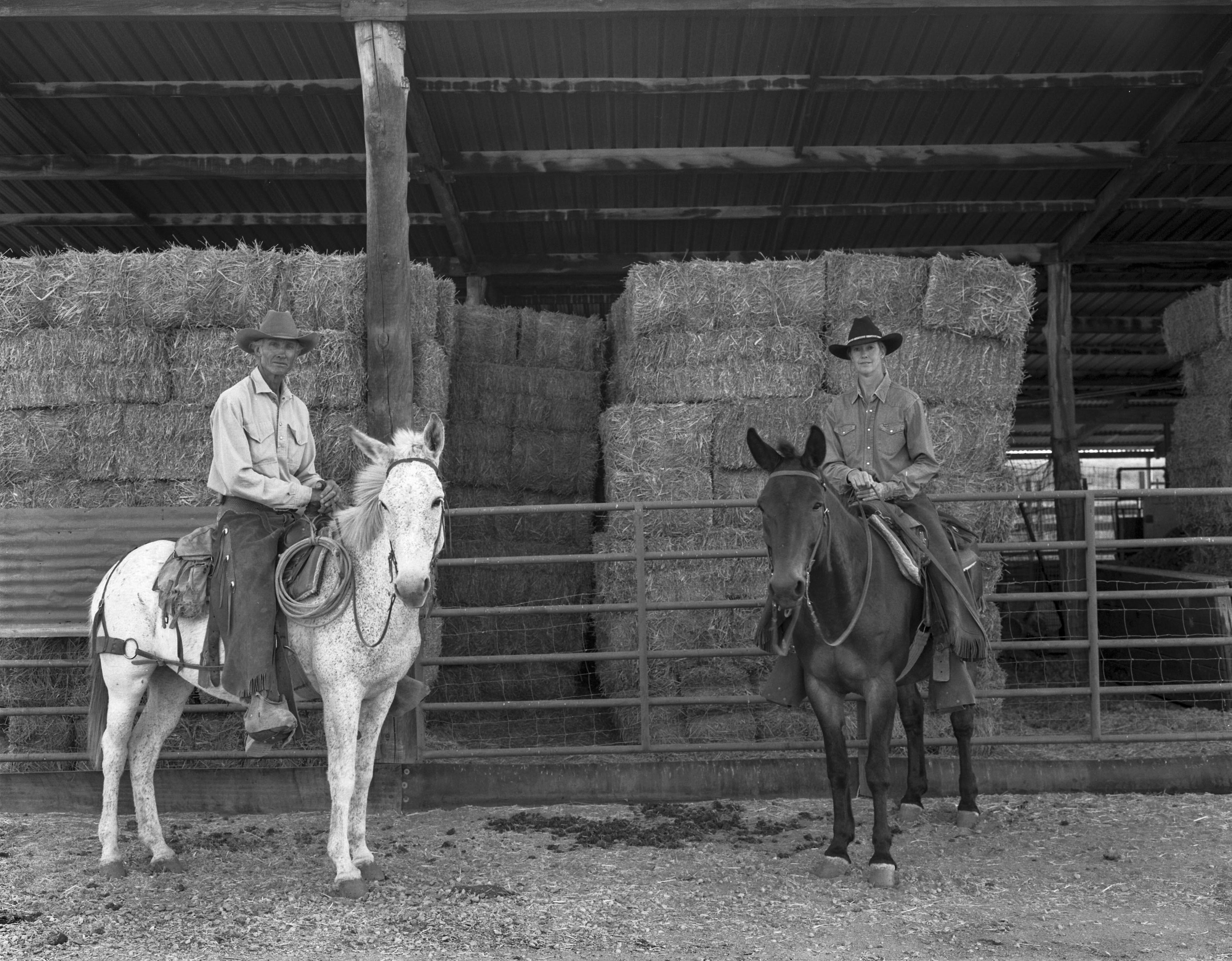 Episode 67: Warner Glenn (Part 2)