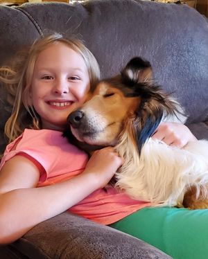 Riverrun Collies - Litters