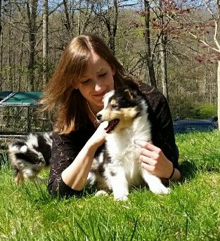 Riverrun Collies - Available