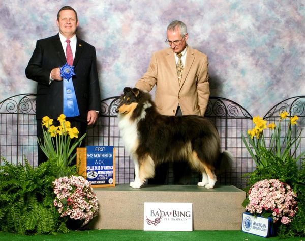 Riverrun Collies - Influential Collies